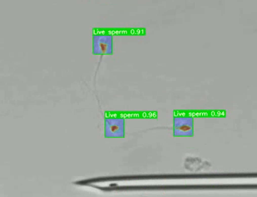 Jiaqi Wang’s Homepage