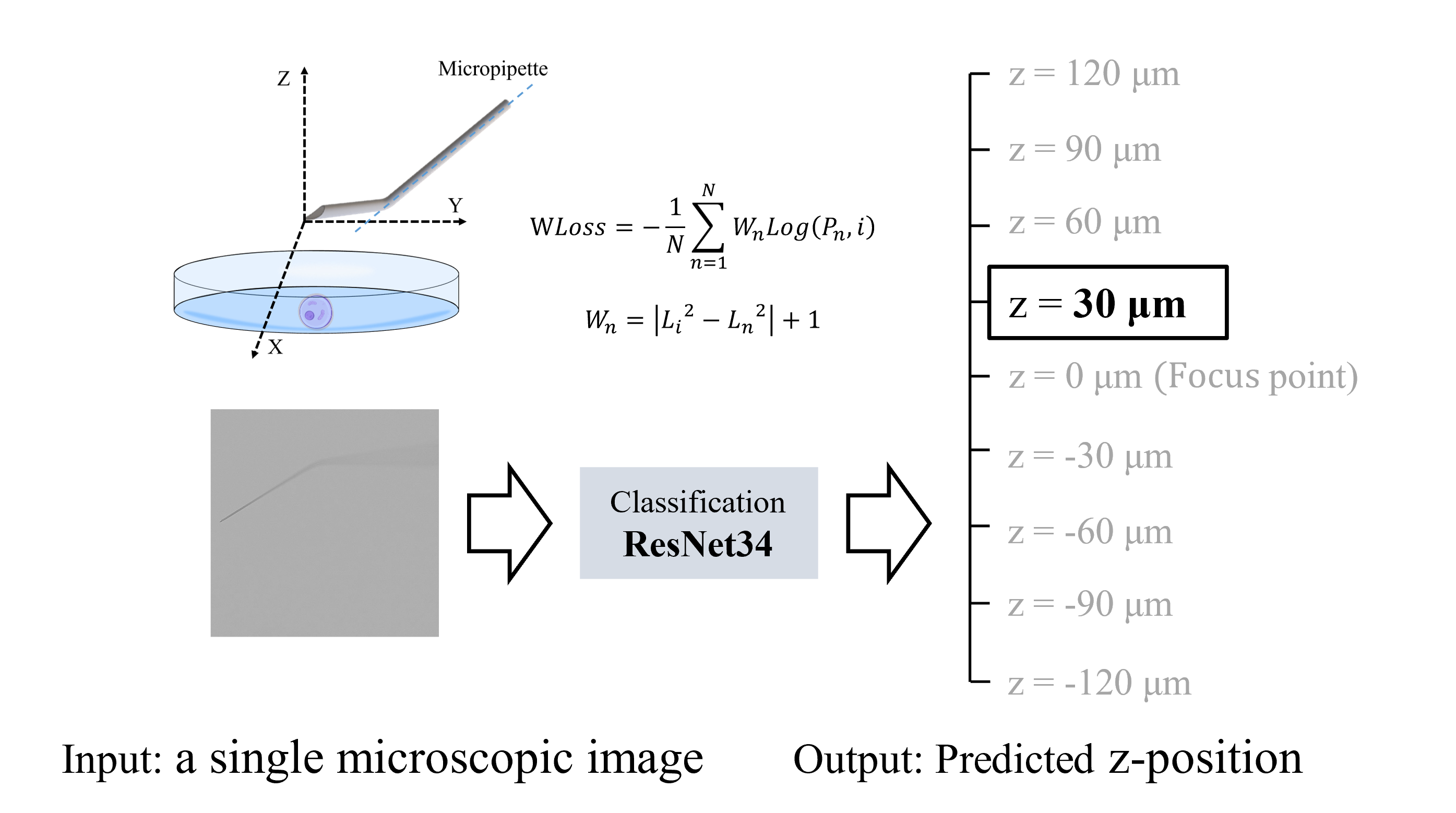 Jiaqi Wang’s Homepage